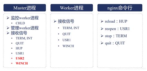 nginx核心要领二：nginx进程模型 nginx 核心进程模型 csdn博客