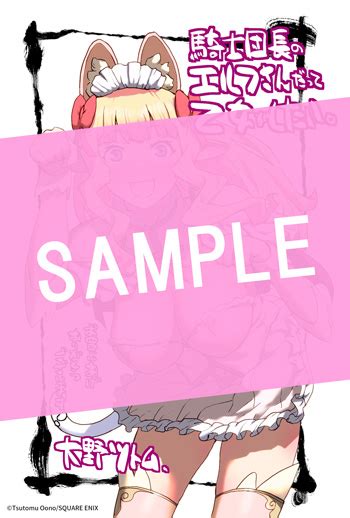 騎士団長のエルフさんだって乙女がしたい。 2巻 漫画全巻ドットコム