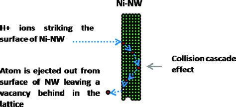 Model Diagram Of Collision Cascade E®ect In Ni Nws After Irradiating Download Scientific