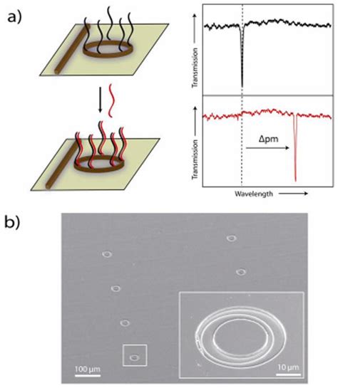 Multiplexed Detection And Label Free Quantitation Of Micrornas Using Arrays Of Silicon Photonic