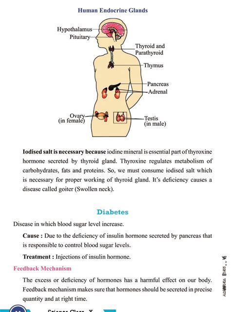 Class 10 Science Control And Coordination Notes All Important Notes