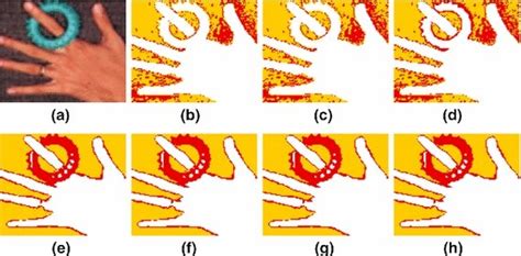Segmentation Results From The Application Of The Ptea Algorithm 41 To