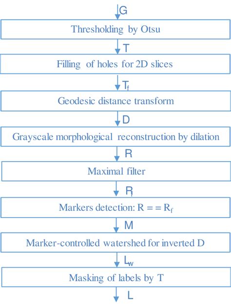 flow chart of our segmentation technique download scientific diagram