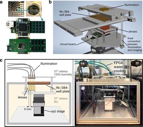 Multi Lens Array Microscope Microscope And Ai Enable Faster Migration