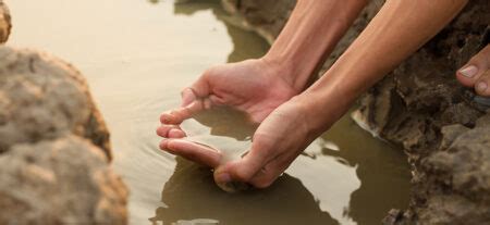 7 Effects Of Water Pollution Atlas Scientific