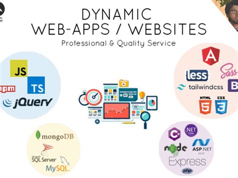 a professional dynamic web application website upwork