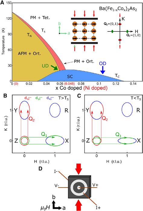 Nematic Superconductivity From Selective Orbital Pairing In Iron Pnictide Single Crystals Cell