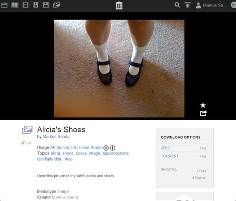 Apperceptions Hacking The Internet Archive S