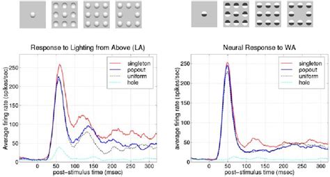 Figure 3 From Neural Basis Of 3 D Surface Representation In Primate Visual Cortex R 01