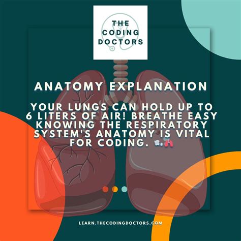 the coding doctors academy on linkedin thecodingdoctors aapc cpc anatomy hyderabad