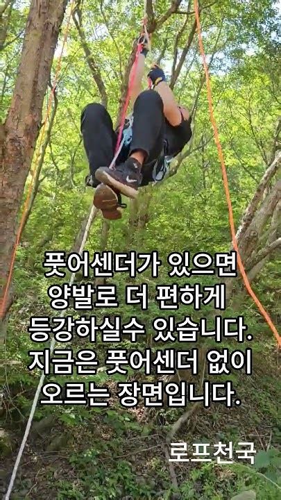 로프천국 11mm 이중블레이드 사용 트리클라이밍 발등강기없이 좀 힘드네요 로프 로프천국 자일로프 자일 클라이밍 Climbing 트리클라이밍 아보