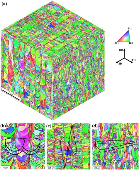 Typical Microstructure Of Lpbf 316l Ss As Seen By Sem Ebsd A 3d