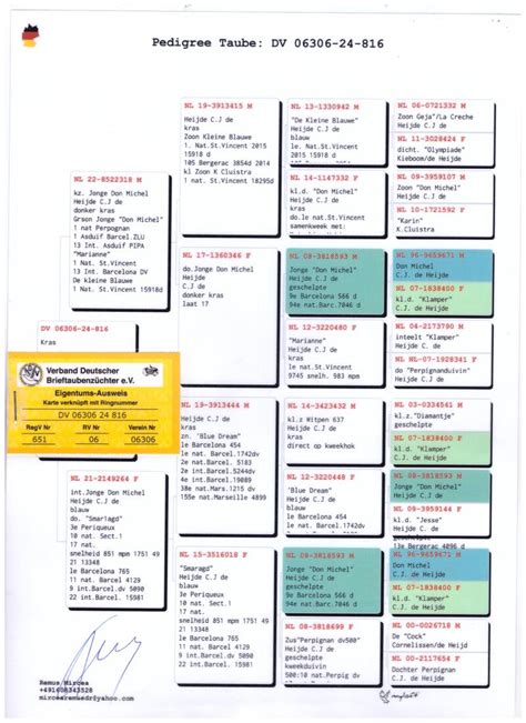 Detalii Licitatie Licitație De Top Mircea Remus Germania