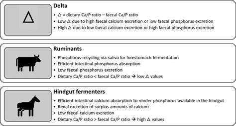 Overview Of The Parameter Delta And How It May Be Affected By
