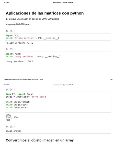 matrices parte 2 jupyter notebook pdf computer programming data