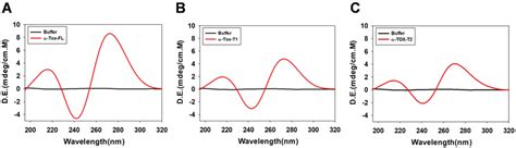 Circular Dichroism Cd Spectrum Of α Tox Fl A α Tox T1 B And Download Scientific Diagram
