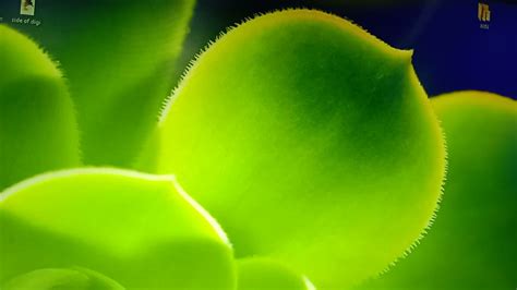 Microcontroller 8051 By Assembly Language Tutorial For Beginners Youtube