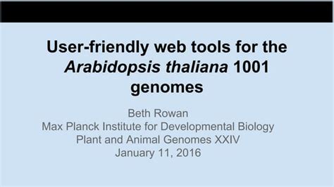 User Friendly Tools For The Arabidopsis Thaliana 1001 Genomes Ppt