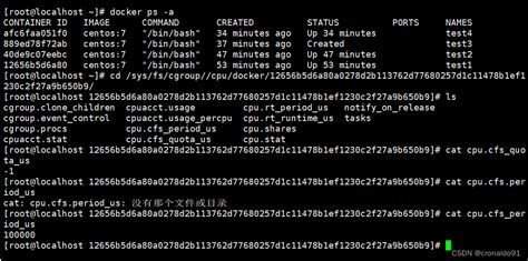 docker容器与虚拟化技术：docker资源控制、数据管理 docker资源拓扑感知调度 csdn博客