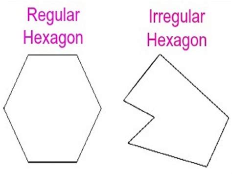 12 Hexagon Examples In Real Life StudiousGuy