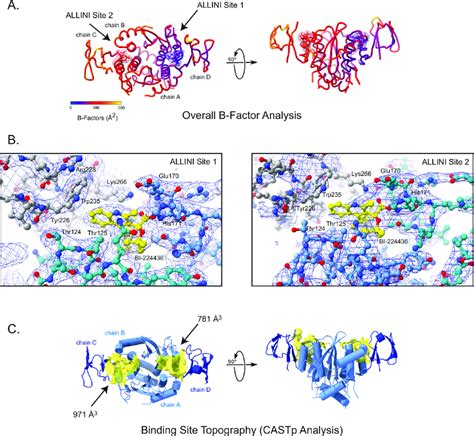 evidence for asymmetry in the minimal ternary complex a b factor
