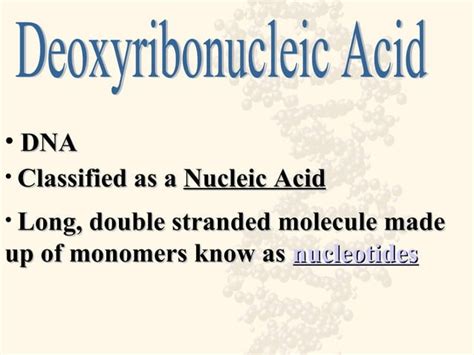 Structure And Function Of Nucleic Acids PPT Chemistry Science