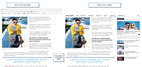 Newspaper Theme Post Formats For Tinymce