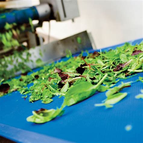 Rapid Microbial Detection Technopath