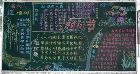 植树节黑板报图片大全 黑板报 亲子图库 太平洋亲子网