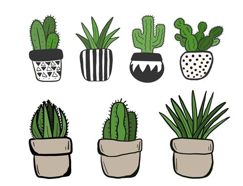 Más De 80 000 Imágenes Gratis De Cactus Dibujo Y Cactus Pixabay