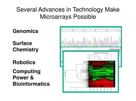 Ppt Microarray Technology And Applications Powerpoint Presentation Free Download Id 1199492