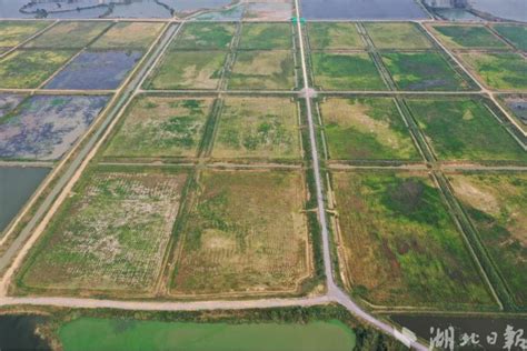 湖北嘉鱼：全域国土综合整治助力乡村全面振兴 湖北日报新闻客户端