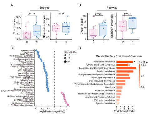 Protein And Cell 菌群代谢物甲硫氨酸影响宿主时钟基因表达和活性氧水平 知乎