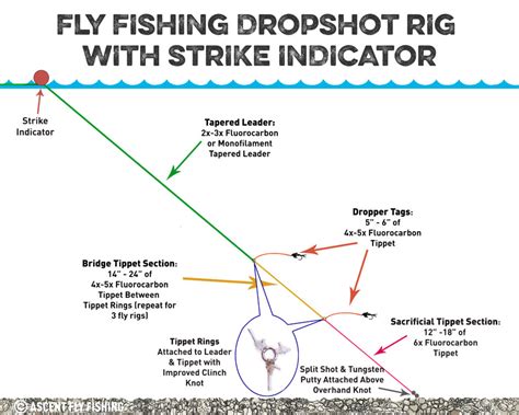 How To Use A Fly Fishing Drop Shot Rig Wambolt Associates
