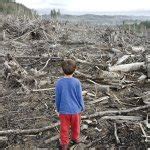 Deforestation Meme Generator Imgflip