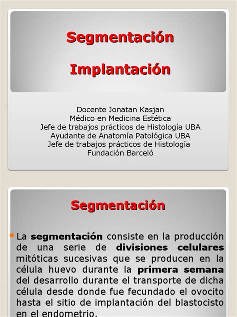 05 Segmentación Pdf Embrión Biología