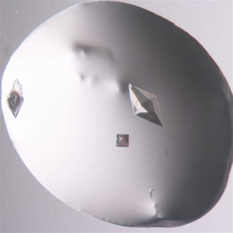 Secureseal™hybridization Chambers Microarray Tools