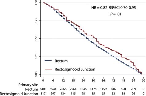 5‐year Survival Of Rectal Nets And Rectosigmoid Junction Is Download Scientific Diagram