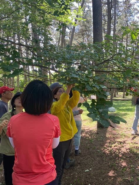 제주환경교육단체 활동꾸러미 성인교육 숲해설가 전문과정6월 24일 즐거운 현장교육