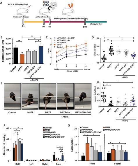 efficient in vivo direct lineage reprogramming by magnetized graphene download scientific