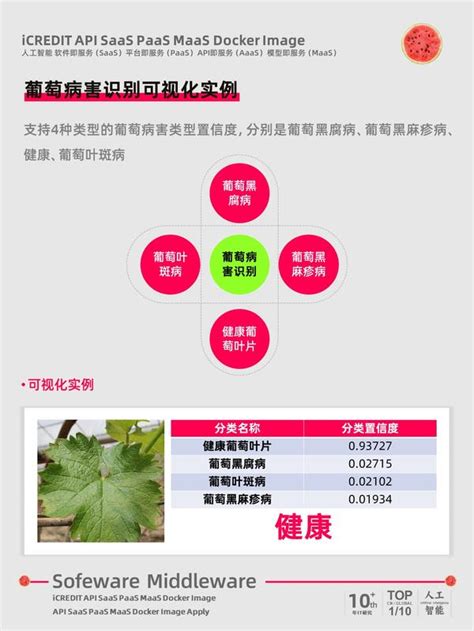 人工智能ai：农业病虫害计算机视觉 葡萄病害识别（4种病害） 知乎