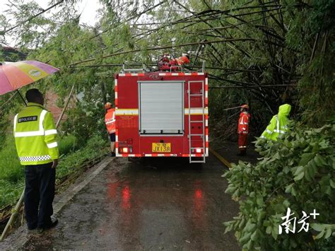 暴雨中兴宁那一抹荧光绿让人暖心 巡查 道路 陈泽铭