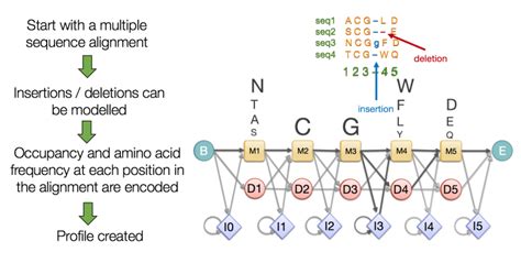 What Are Profile Hidden Markov Models Pfam