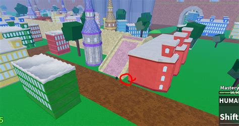 Blox Fruits Flower Locations