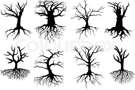 Bare Tree Silhouettes With Roots Stock Vector Colourbox