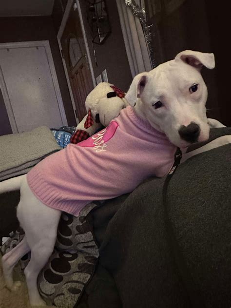 Echo Freedom First Rescue