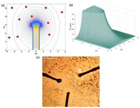 Cells Free Full Text Spatial Manipulation Of Particles And Cells At