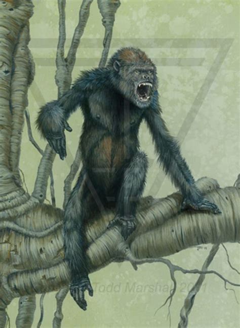 Dryopithecus Dinosaurs Pictures And Facts