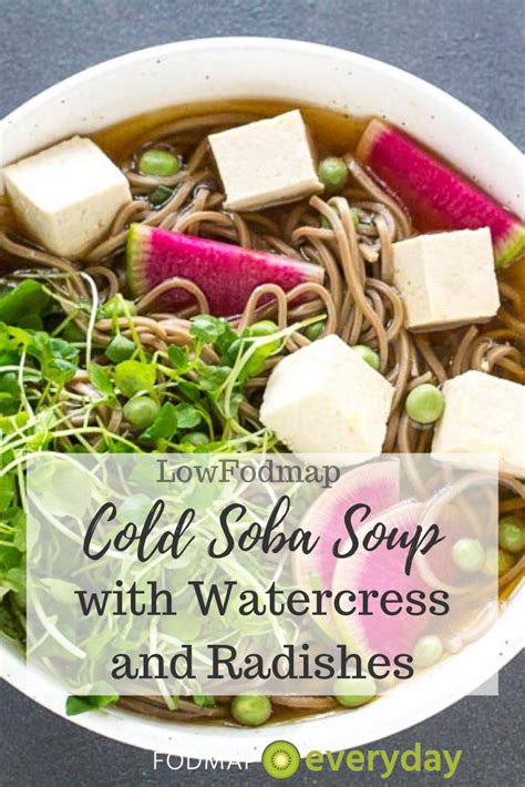 720 Low Fodmap Main Dishes Ideas In 2025 Fodmap Low Fodmap Fodmap