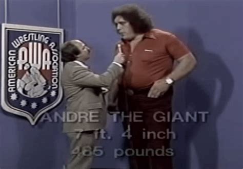 Andre The Giant Wwe  Find On Er